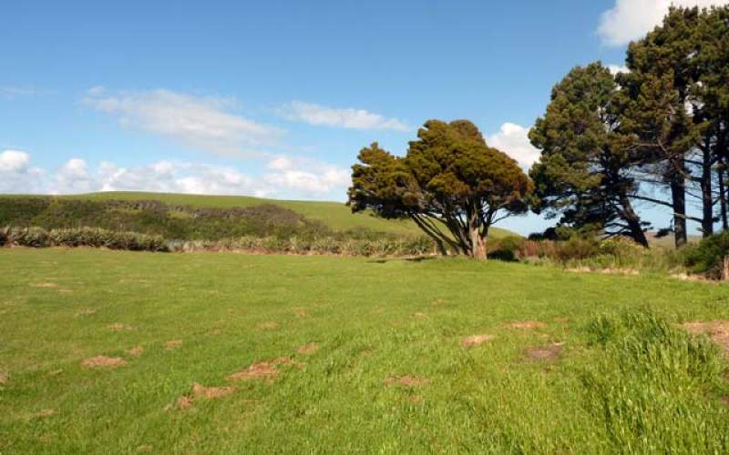 Weirs Beach Recreation Reserve | Freedom/Basic Camp | New Zealand